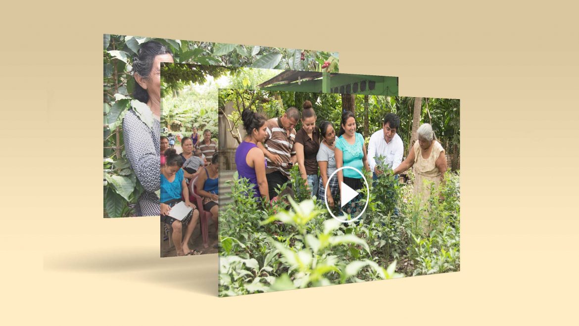 asistencia – FUNDAP